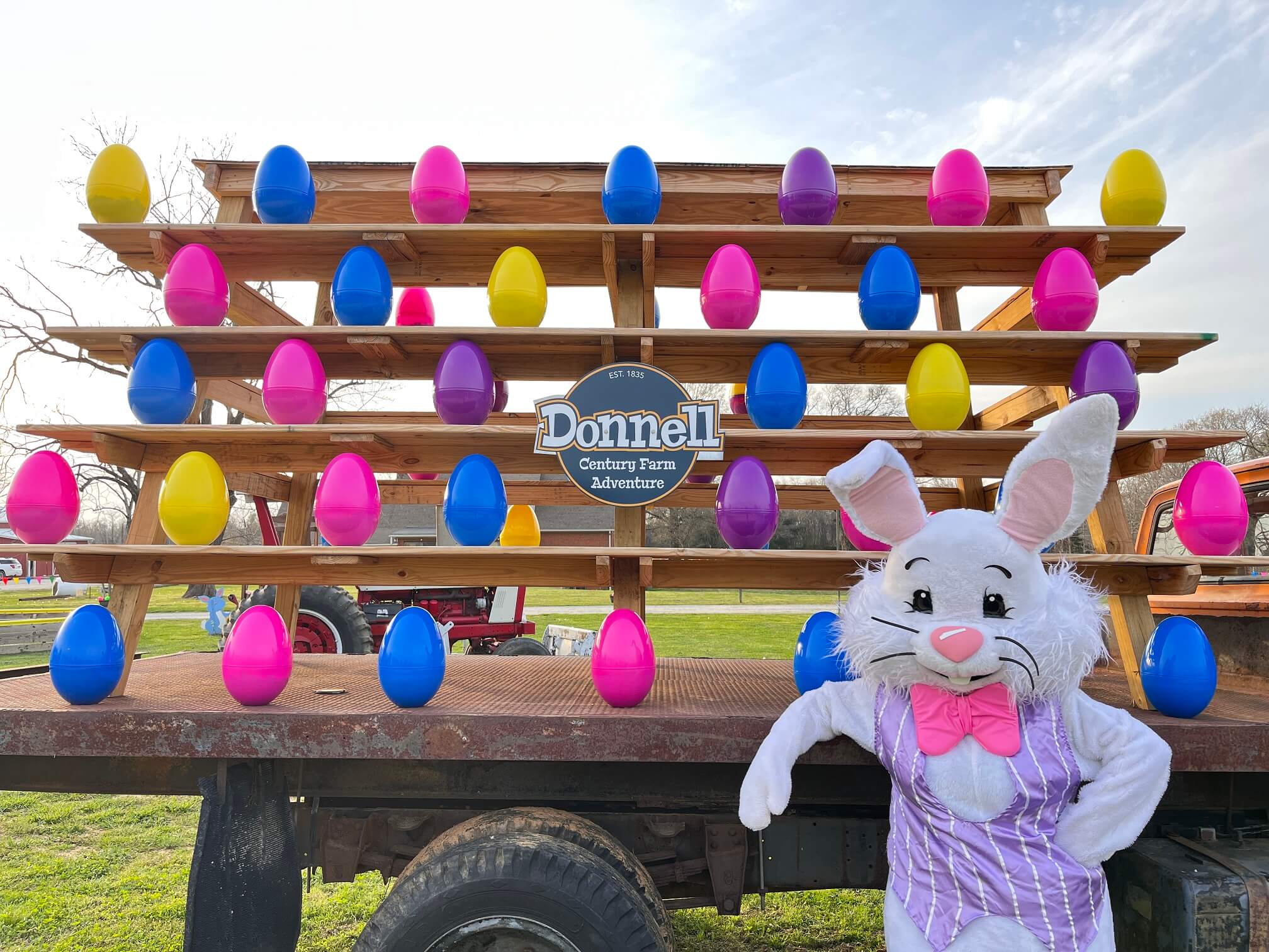 Spring Festival - Baby Animals, Egg Hunt, & Easter Bunny | Donnell ...